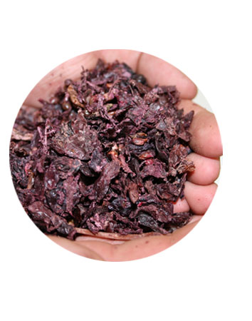 Eaux-de-vie de marc de raisin | FFS - Fédération Française des Spiritueux